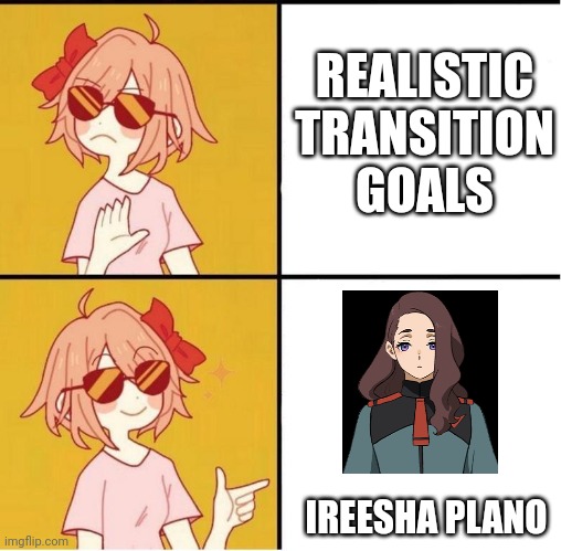 Unrealistic Transition Goals (Transfem) — Raddle